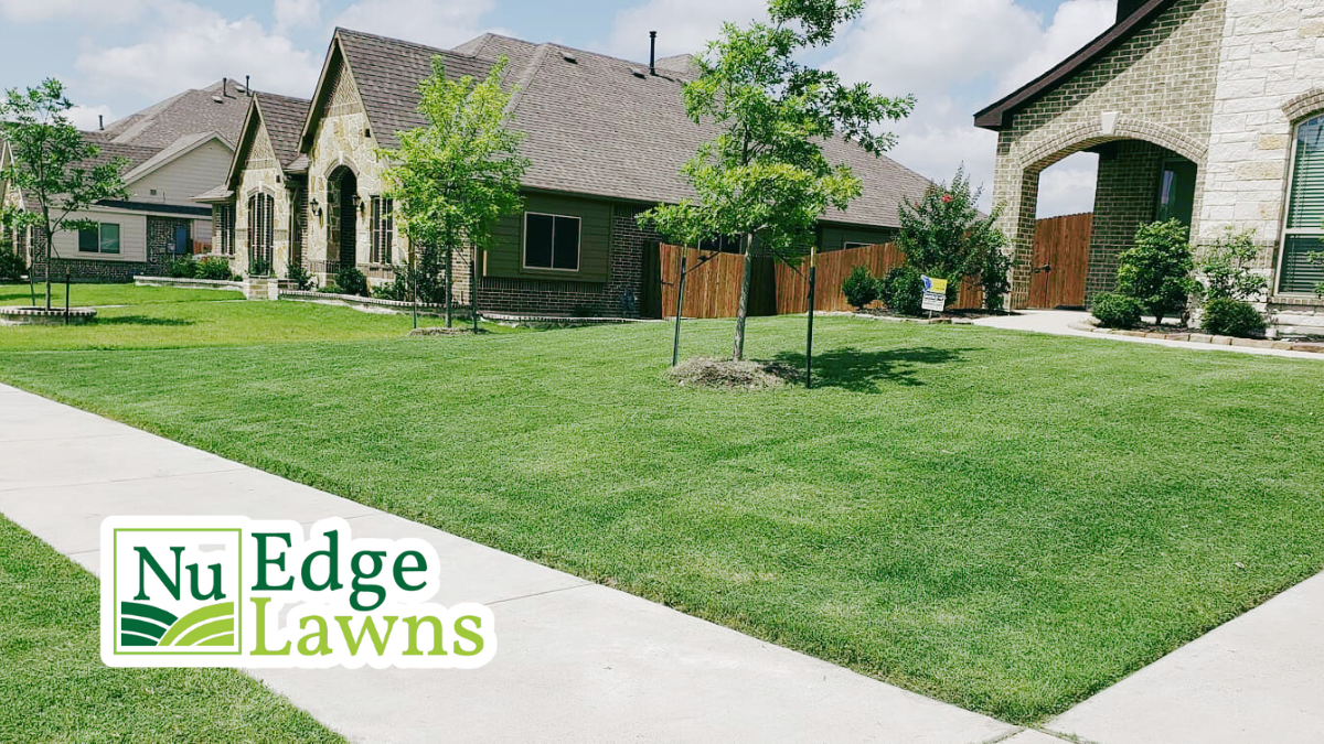 Residential and Commercial Lawn Maintenance Services | NuEdge Lawns LLC